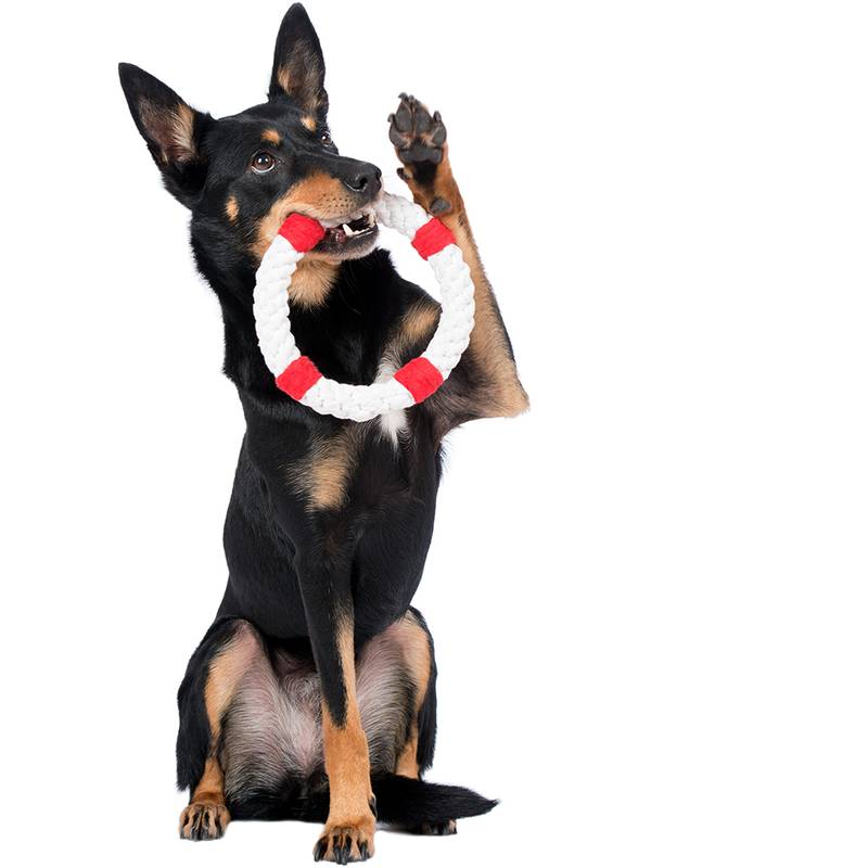 Spielzeug für den Hund RITA RETTUNGSRING von Laboni® | iinu