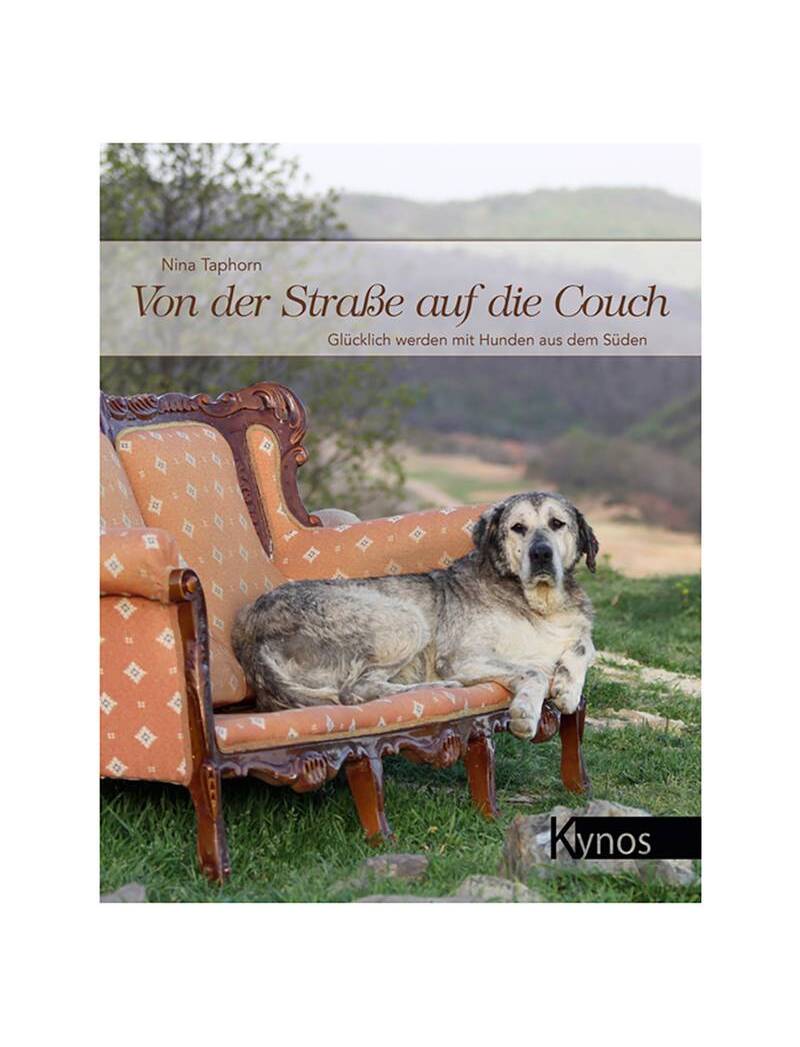 Von der Straße auf die Couch | iinu Von der Straße auf die Couch | iinu